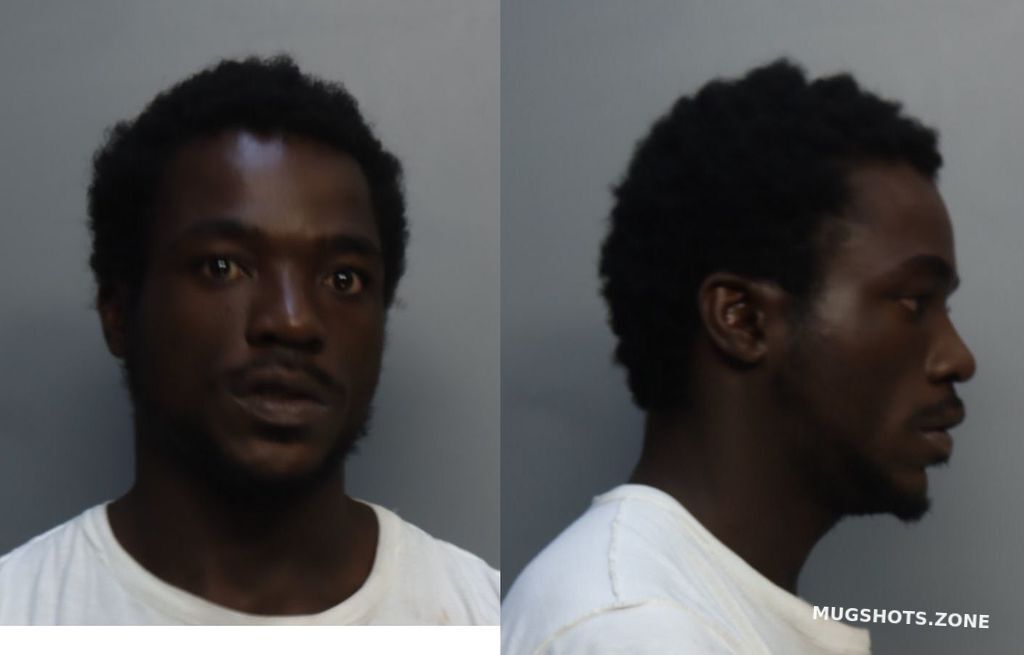 SNOW LEANDRE JR 07/20/2024 - Miami-Dade County Mugshots Zone