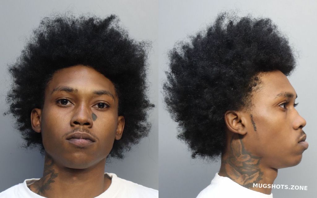 BLAKE TREMAYNE L 07/25/2024 - Miami-Dade County Mugshots Zone