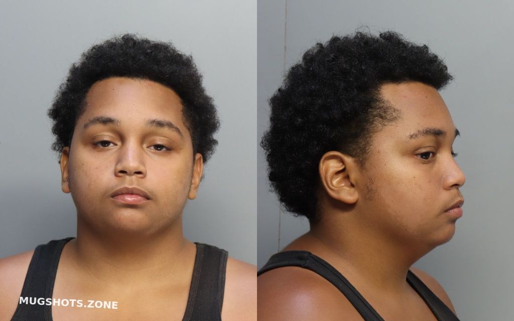 SERRANO LORENZO ALBERTO 07/25/2024 - Miami-Dade County Mugshots Zone