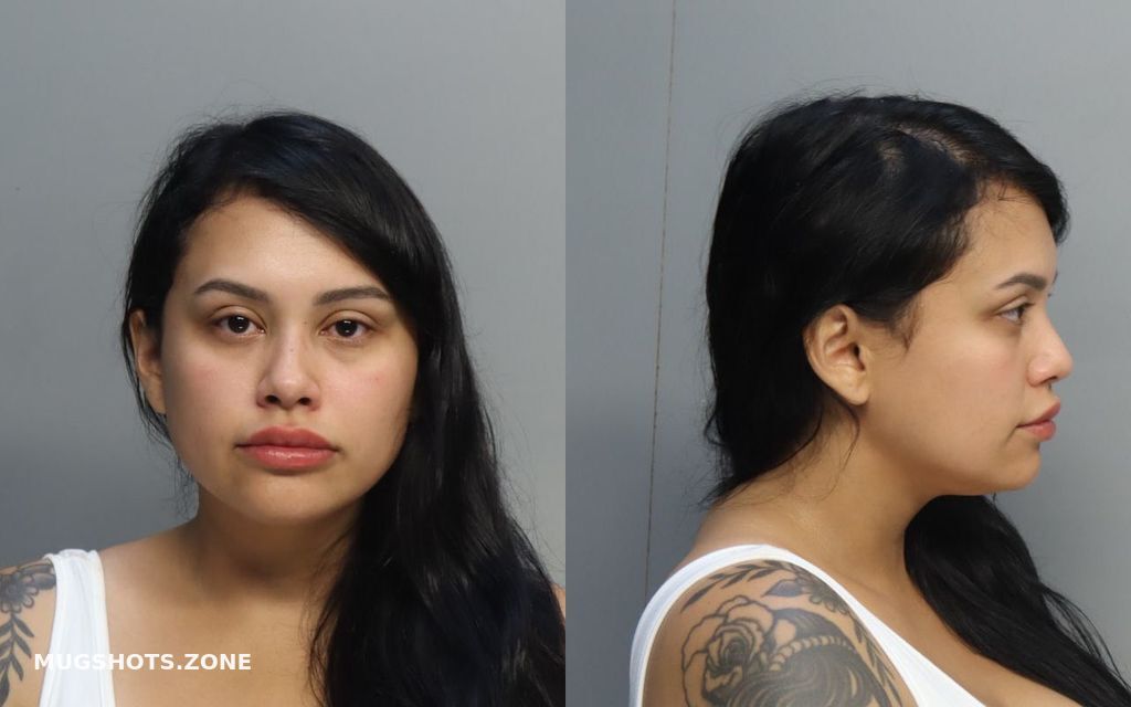 ALVEAR GENESIS 07/29/2024 - Miami-Dade County Mugshots Zone