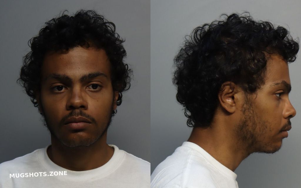 CHERRY PRIEST 07/29/2024 - Miami-Dade County Mugshots Zone