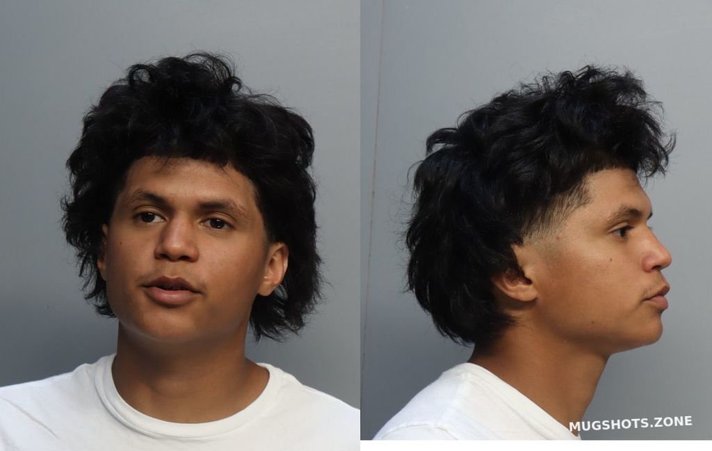 MEDRANO JOSE 07/29/2024 - Miami-Dade County Mugshots Zone