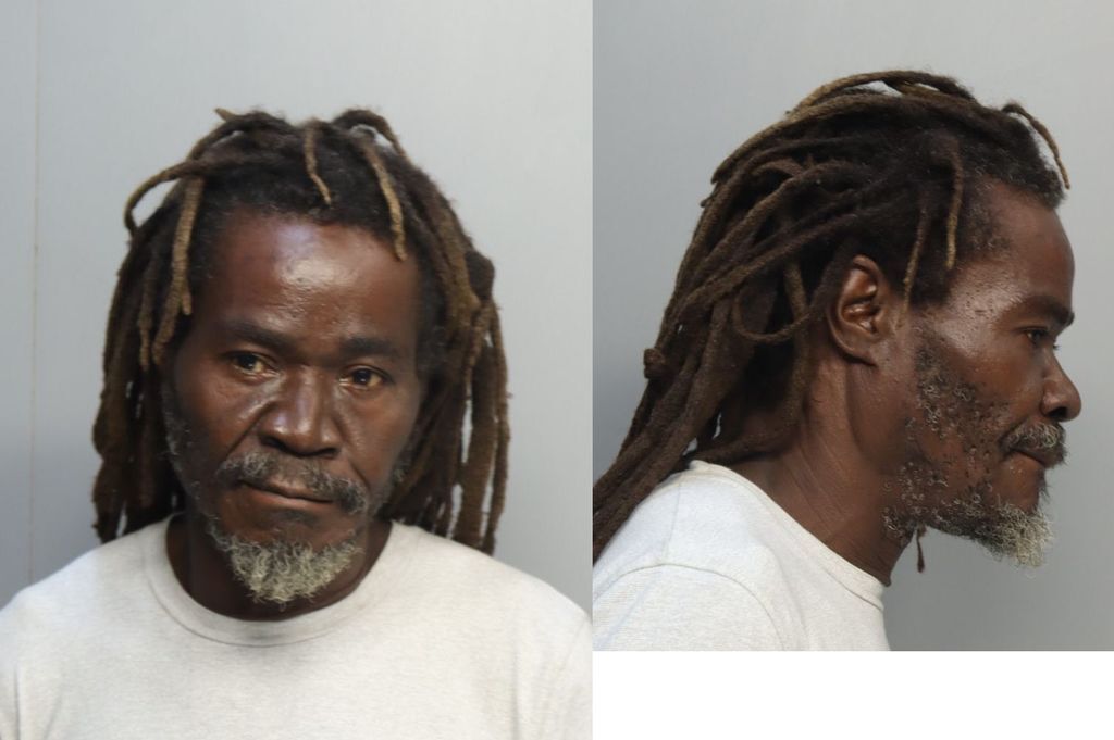 OPERAT WATSON 07/30/2024 - Miami-Dade County Mugshots Zone
