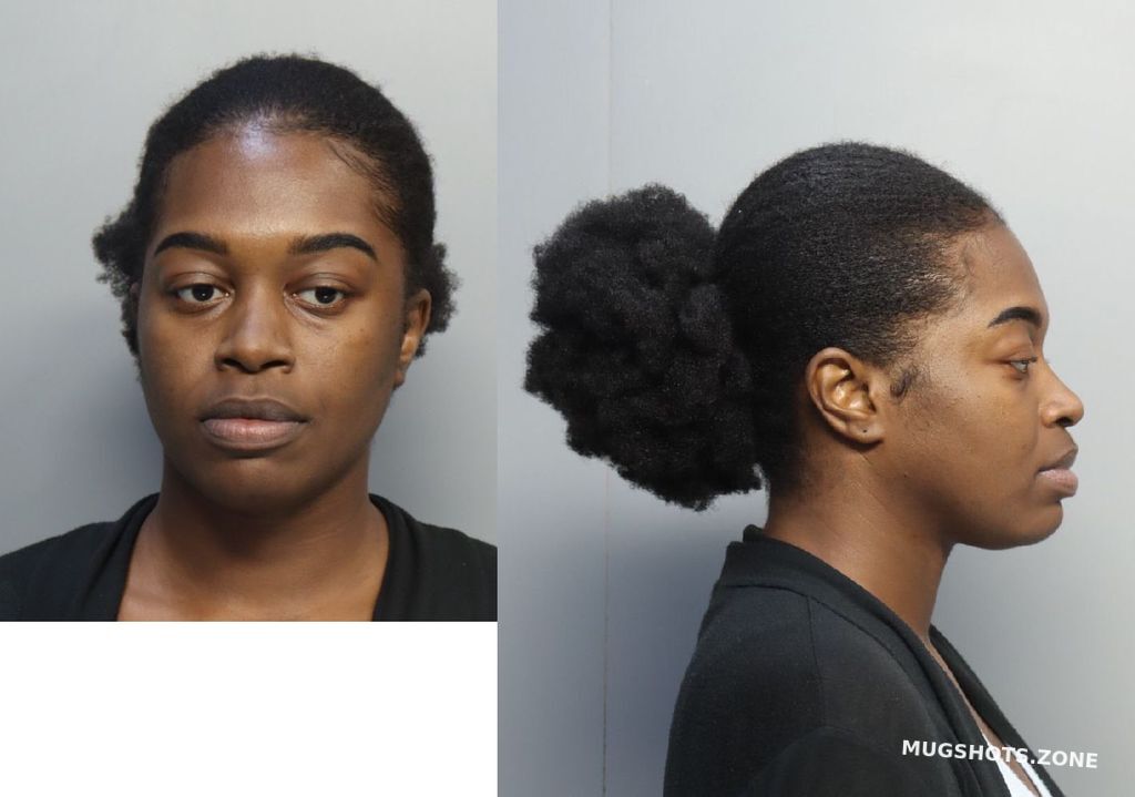 ALEXANDRE CHRISTAL AZURE 08/16/2024 - Miami-Dade County Mugshots Zone