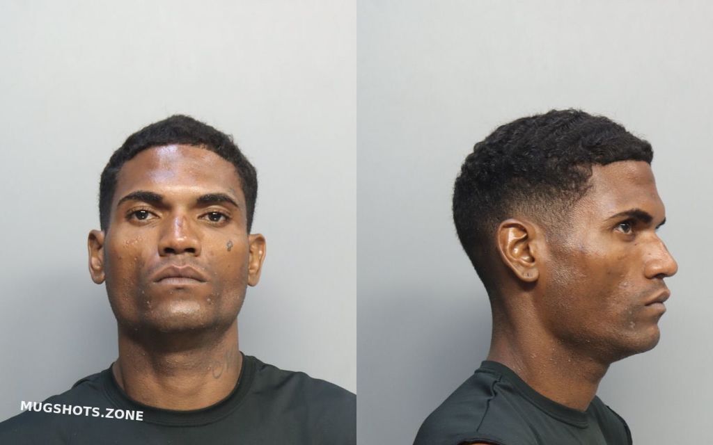 JORDAN RAIMOND WILSON 09/03/2024 - Miami-Dade County Mugshots Zone