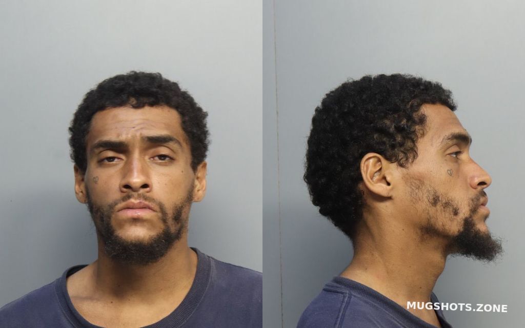 PEREZPELLOT NIKKO 09/04/2024 - Miami-Dade County Mugshots Zone