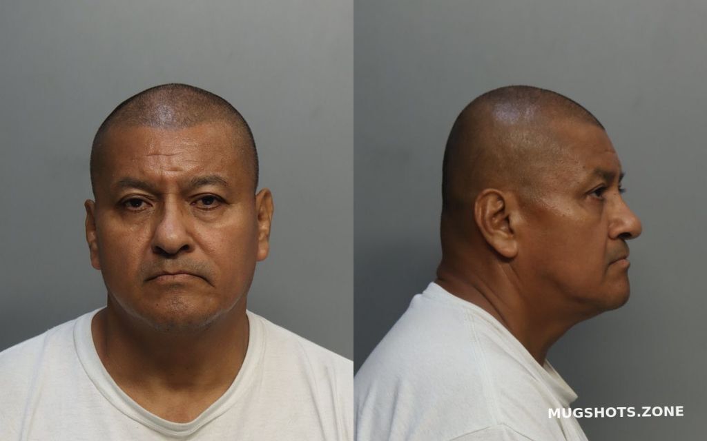 FLORES ALEXIS 10/04/2024 - Miami-Dade County Mugshots Zone
