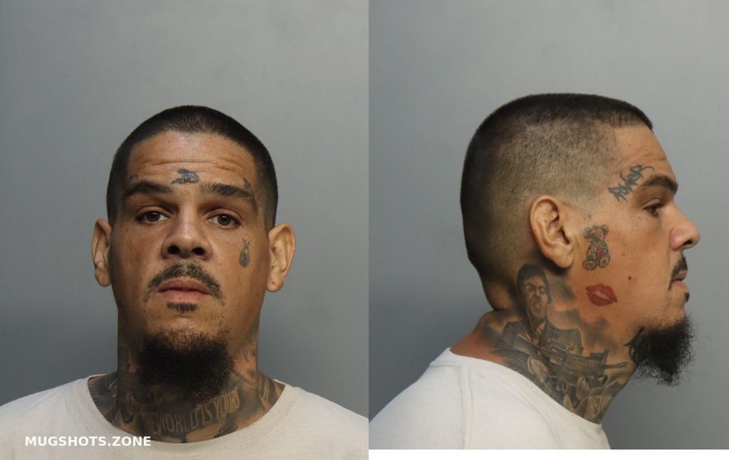 TIMMINS WILLIAM 10/07/2024 - Miami-Dade County Mugshots Zone