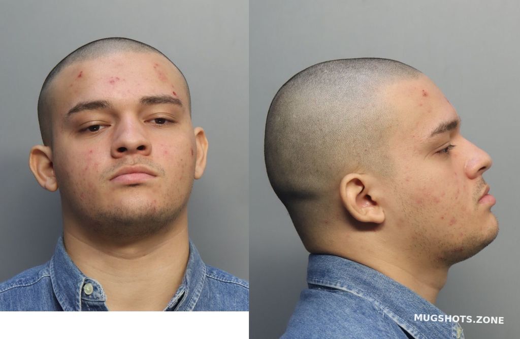 WHYLLY IAN 10/07/2024 - Miami-Dade County Mugshots Zone