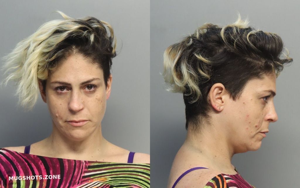 BRIOSO KARIN 10/11/2024 - Miami-Dade County Mugshots Zone