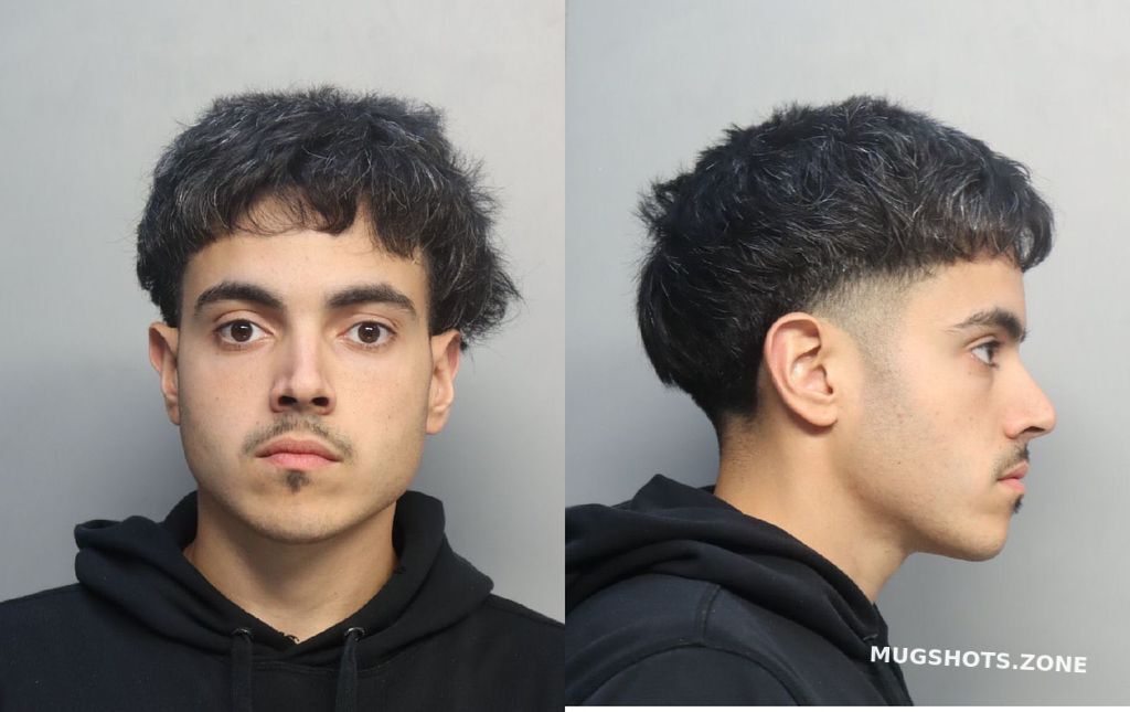 VIVO BRIAN 10/12/2024 - Miami-Dade County Mugshots Zone
