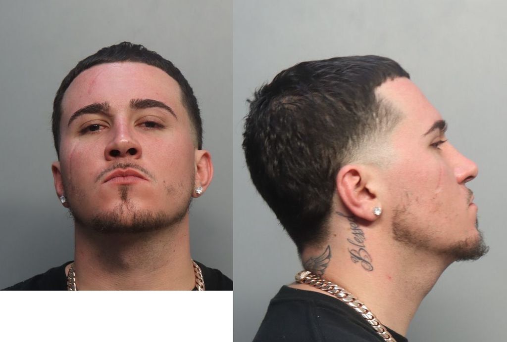 DACOSTA DOMINIC ALEXANDER 10/20/2024 - Miami-Dade County Mugshots Zone