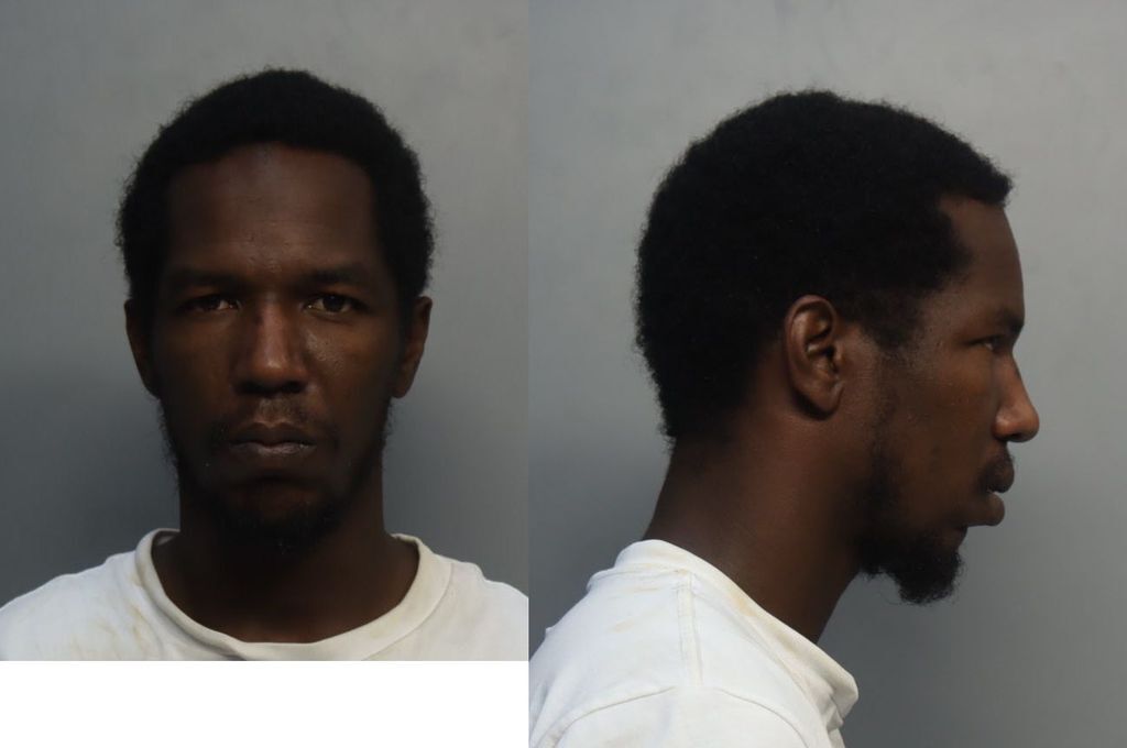 ROBINSON DAMEON LEVON 10/22/2024 - Miami-Dade County Mugshots Zone