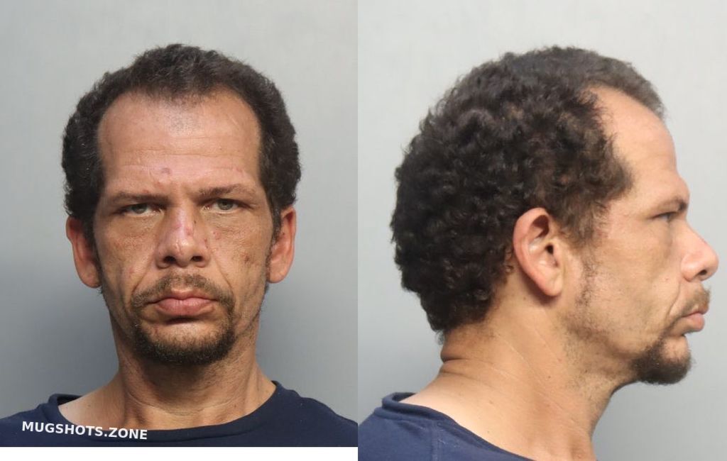 DAVIS BRANDON PATRICK 10/24/2024 - Miami-Dade County Mugshots Zone
