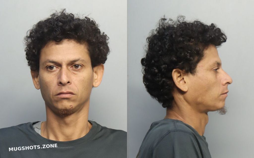 BOJASGUSMAN LUIS FERNANDO 10/24/2024 - Miami-Dade County Mugshots Zone
