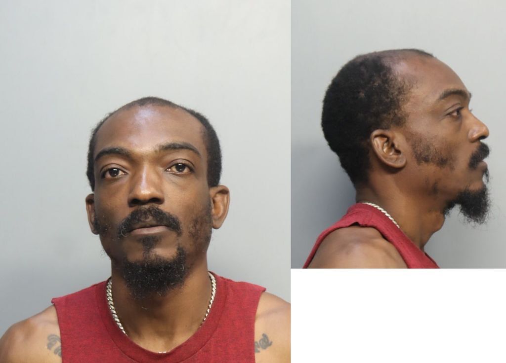 DELVA WOLGUENS 11/05/2024 - Miami-Dade County Mugshots Zone