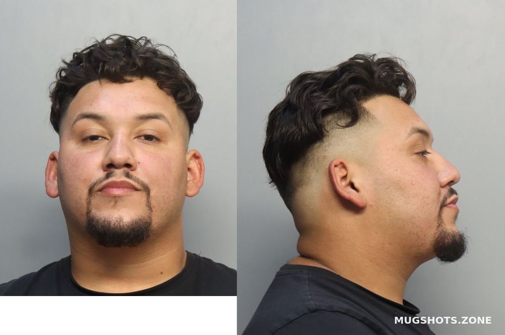 ALONZO LINTON OMAR 11/06/2024 - Miami-Dade County Mugshots Zone