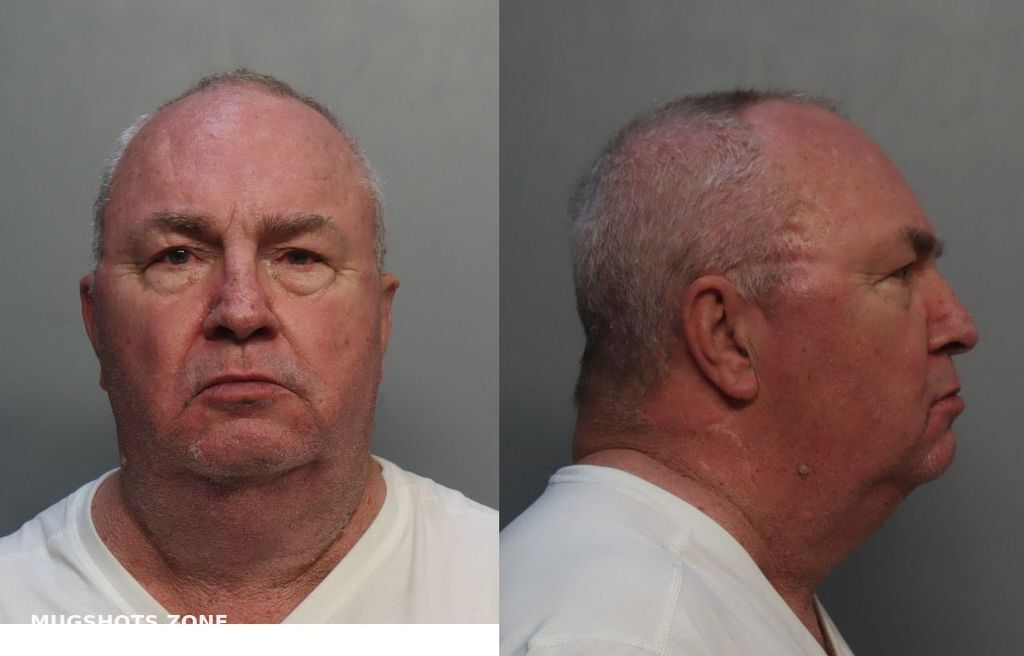 NOORDHOEK GREGG 11/06/2024 - Miami-Dade County Mugshots Zone