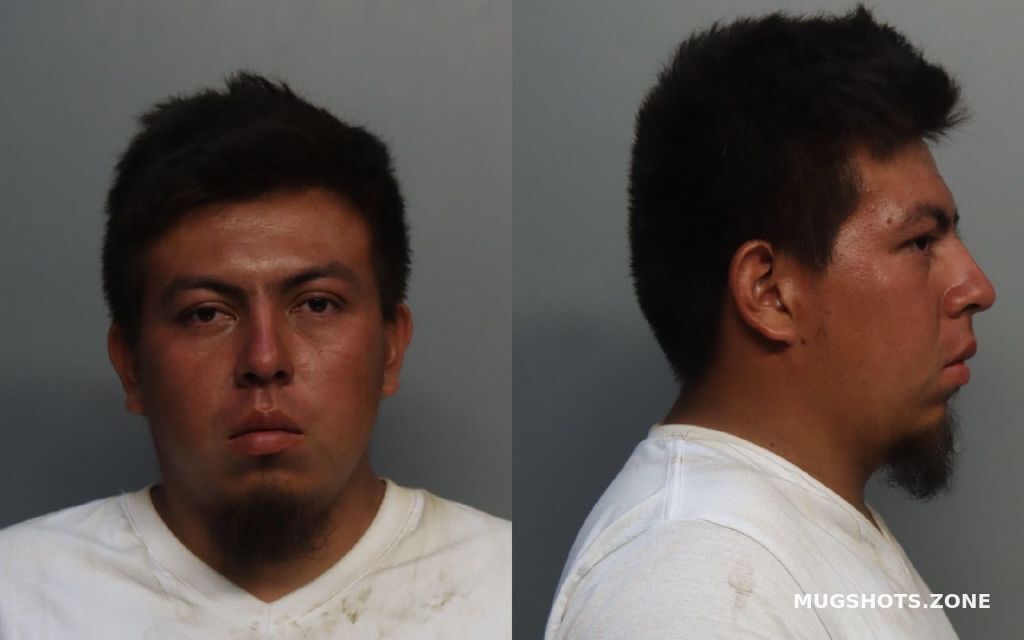 ARUEZ-BLANDON AXEL BISMARCK 11/09/2024 - Miami-Dade County Mugshots Zone
