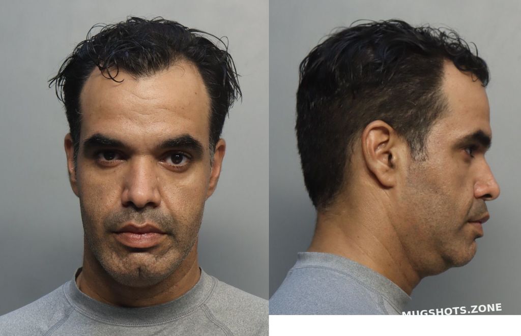 SOLER ANDY 11/09/2024 - Miami-Dade County Mugshots Zone