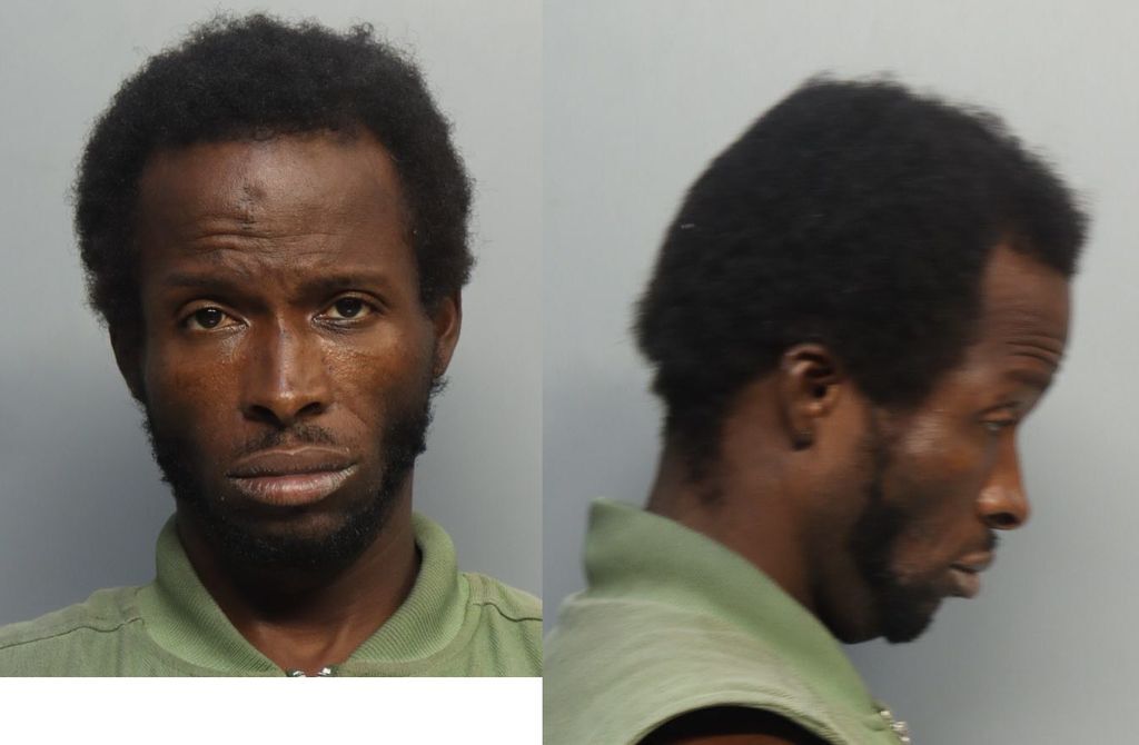 JOHNSON DONTAE LEONARD 11/09/2024 - Miami-Dade County Mugshots Zone