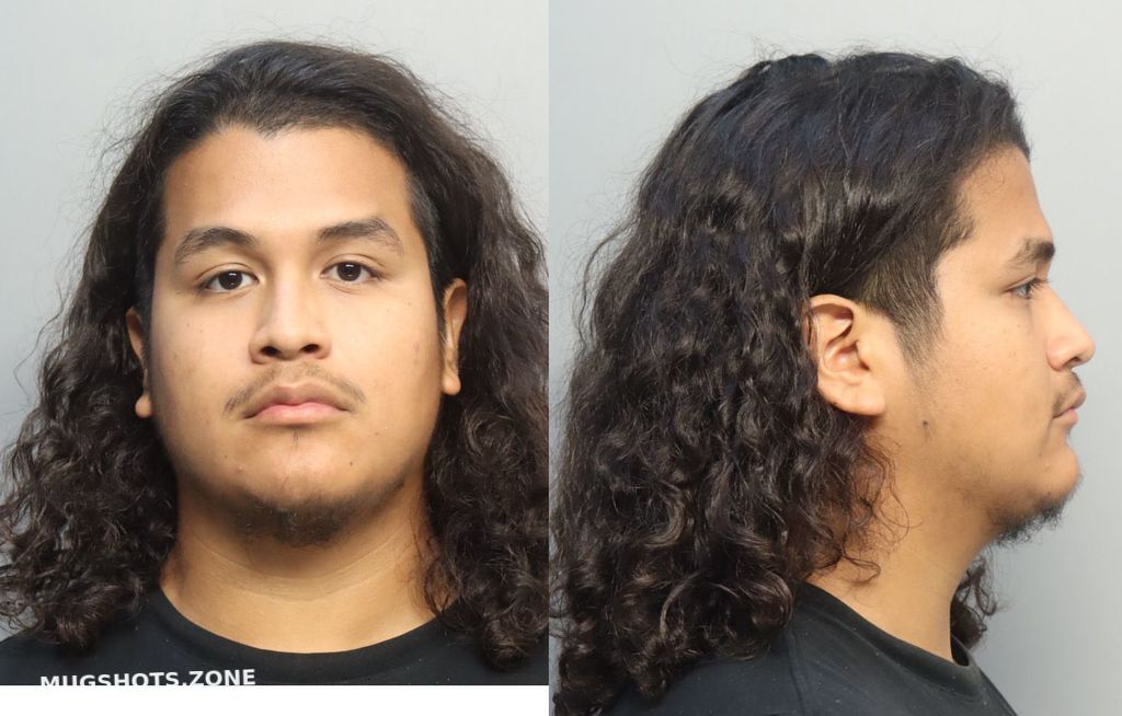 VALDEZ-SUAZO LEONARDO JOSE 11/09/2024 - Miami-Dade County Mugshots Zone