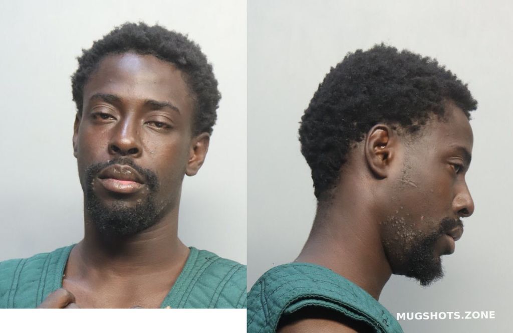 LEWIS ANTWAN 11/10/2024 - Miami-Dade County Mugshots Zone