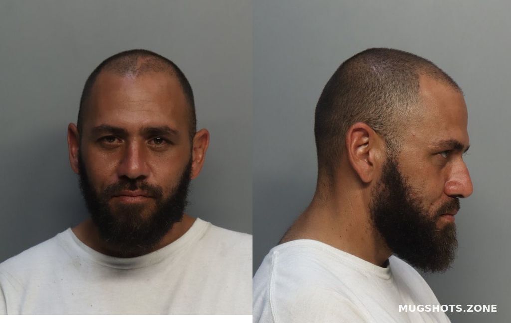 CUBANO GABRIEL LUIS 11/11/2024 - Miami-Dade County Mugshots Zone