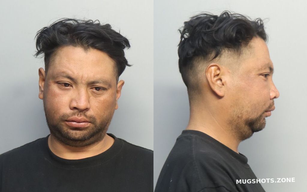 GONZALEZBARRIENTOS JONATHAN JOSE 11/11/2024 - Miami-Dade County ...