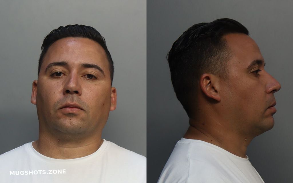 ESPADA ARYS GONZALEZ 11/11/2024 - Miami-Dade County Mugshots Zone