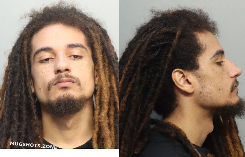 DAVIS KEITH ARNOLD 11/12/2024 - Miami-Dade County Mugshots Zone