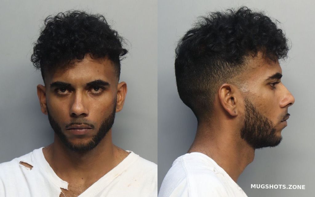 DE-FREITAS AARON ALEX 11/14/2024 - Miami-Dade County Mugshots Zone