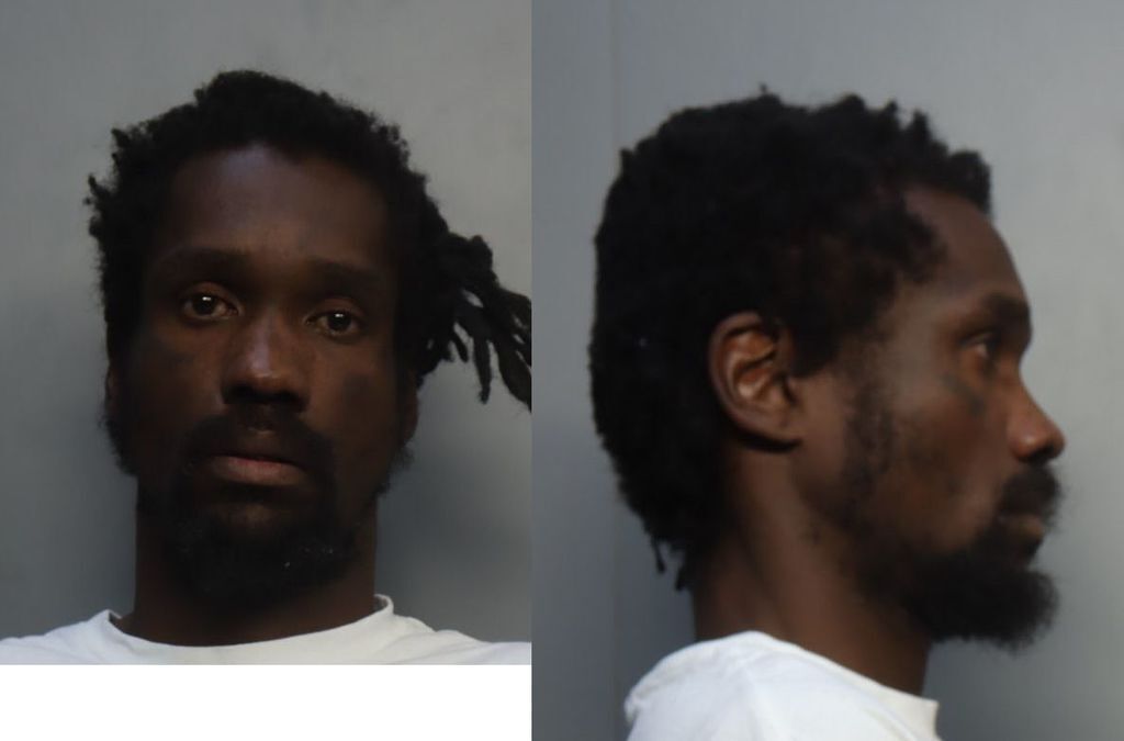 RICHARDS ANDRE 11/14/2024 - Miami-Dade County Mugshots Zone