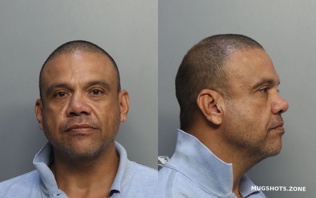 DEIDA DENNIS STEVE 11/14/2024 - Miami-Dade County Mugshots Zone