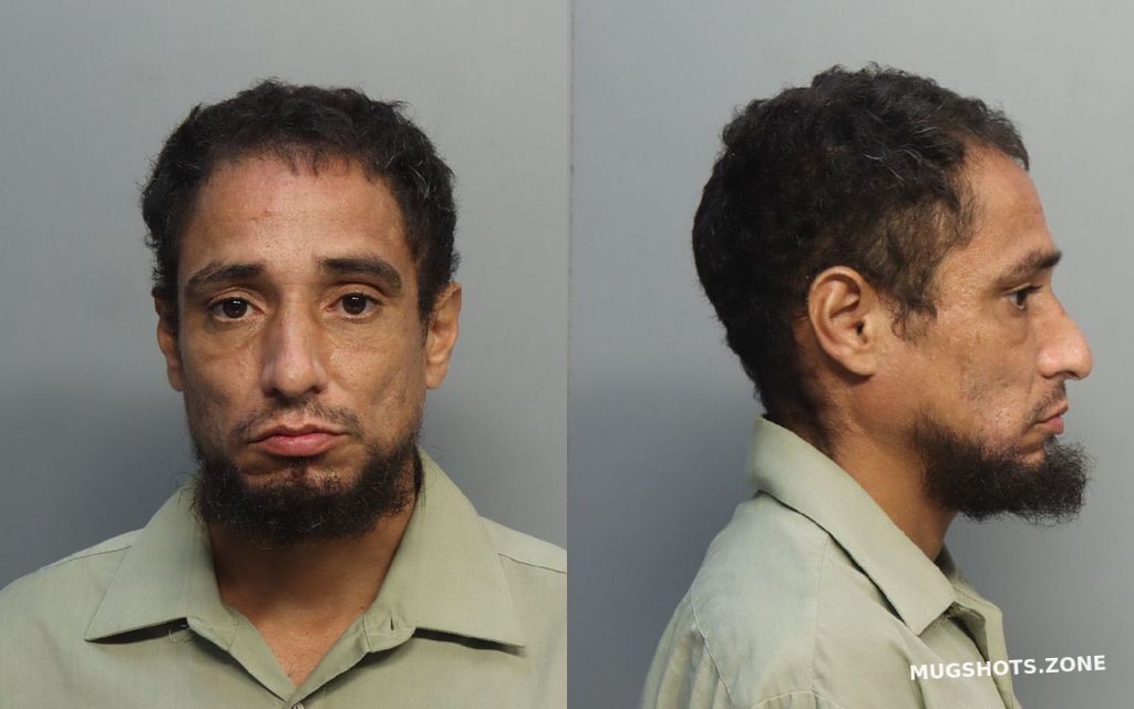 CONCEPTCION JONATHAN 11/15/2024 - Miami-Dade County Mugshots Zone