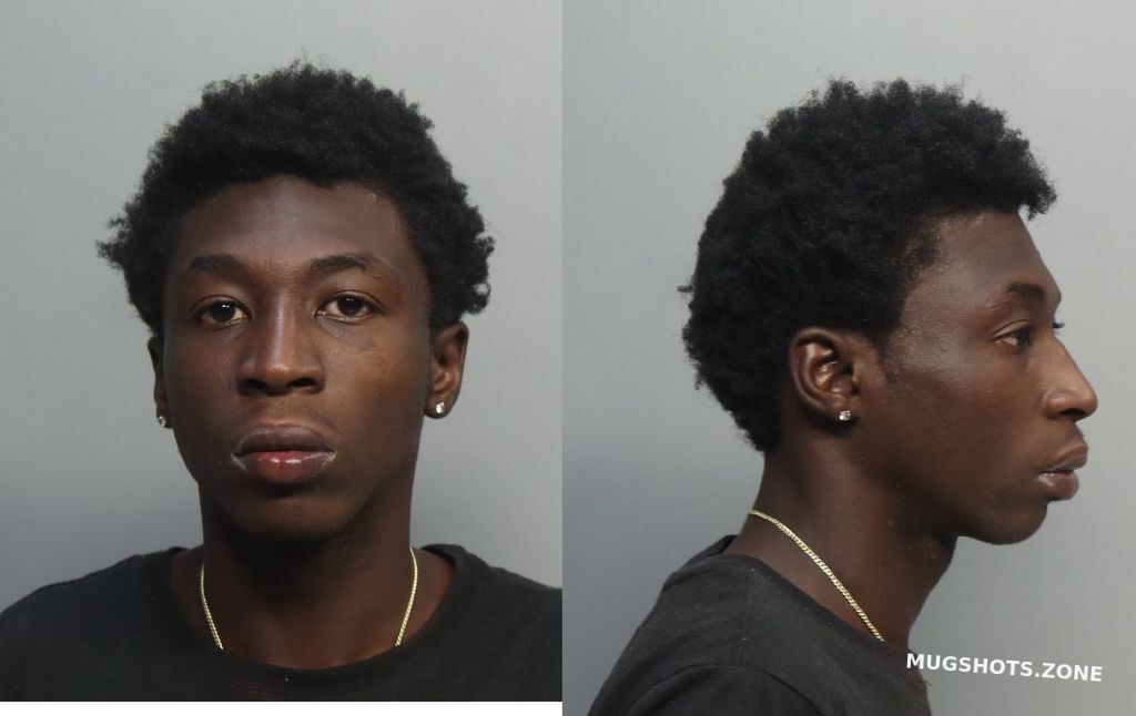 ESPERANCE EROID 11/15/2024 - Miami-Dade County Mugshots Zone