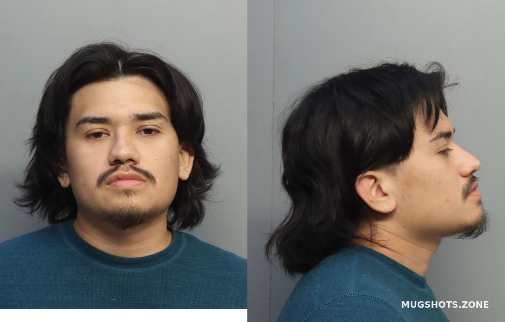 PONCE BRIAN 11/15/2024 - Miami-Dade County Mugshots Zone