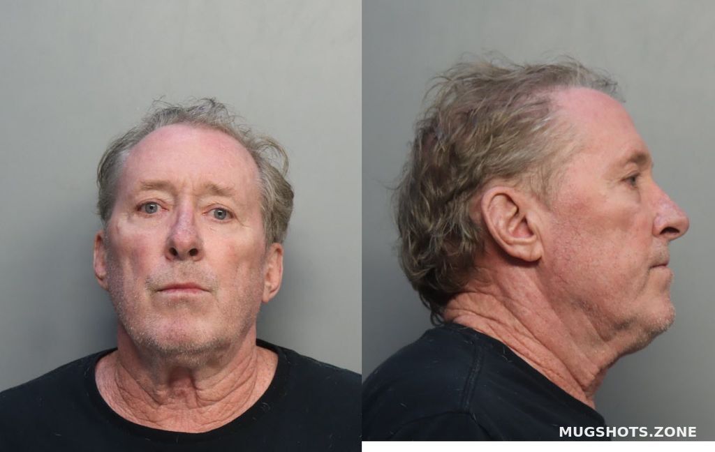REED MARK 11/15/2024 - Miami-Dade County Mugshots Zone