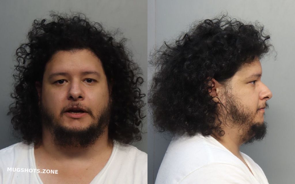 PICO BRYAN 11/15/2024 - Miami-Dade County Mugshots Zone