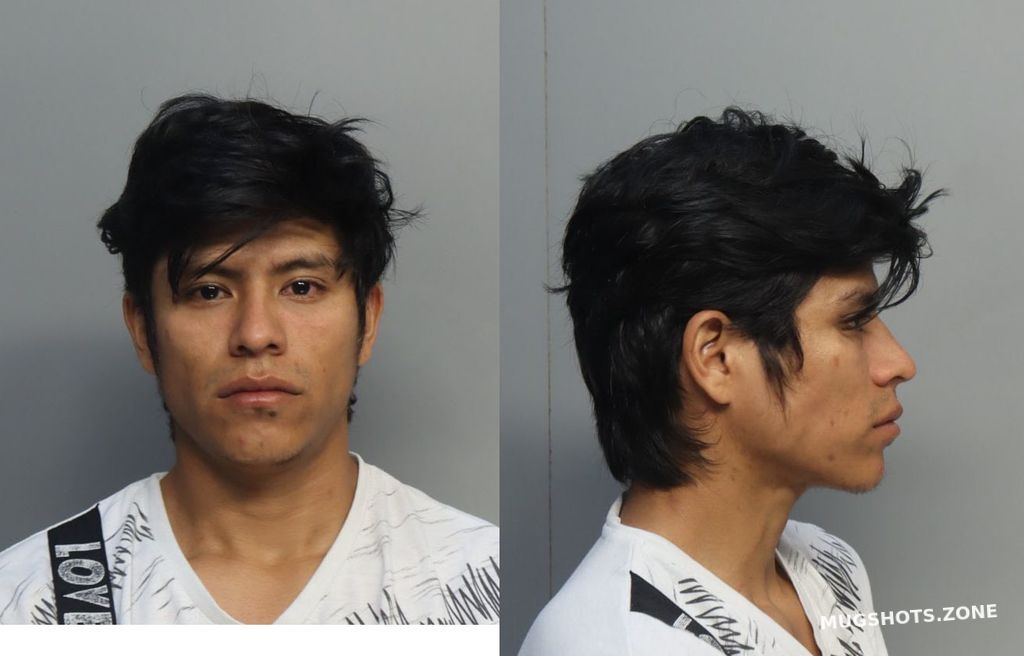 LOPEZ-ESCOBAR JHON JORDAN 11/18/2024 - Miami-Dade County Mugshots Zone