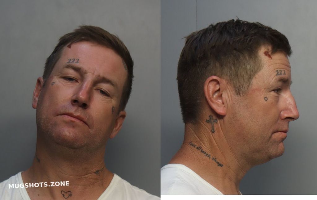 HARRINGTON SEAN 11/18/2024 - Miami-Dade County Mugshots Zone