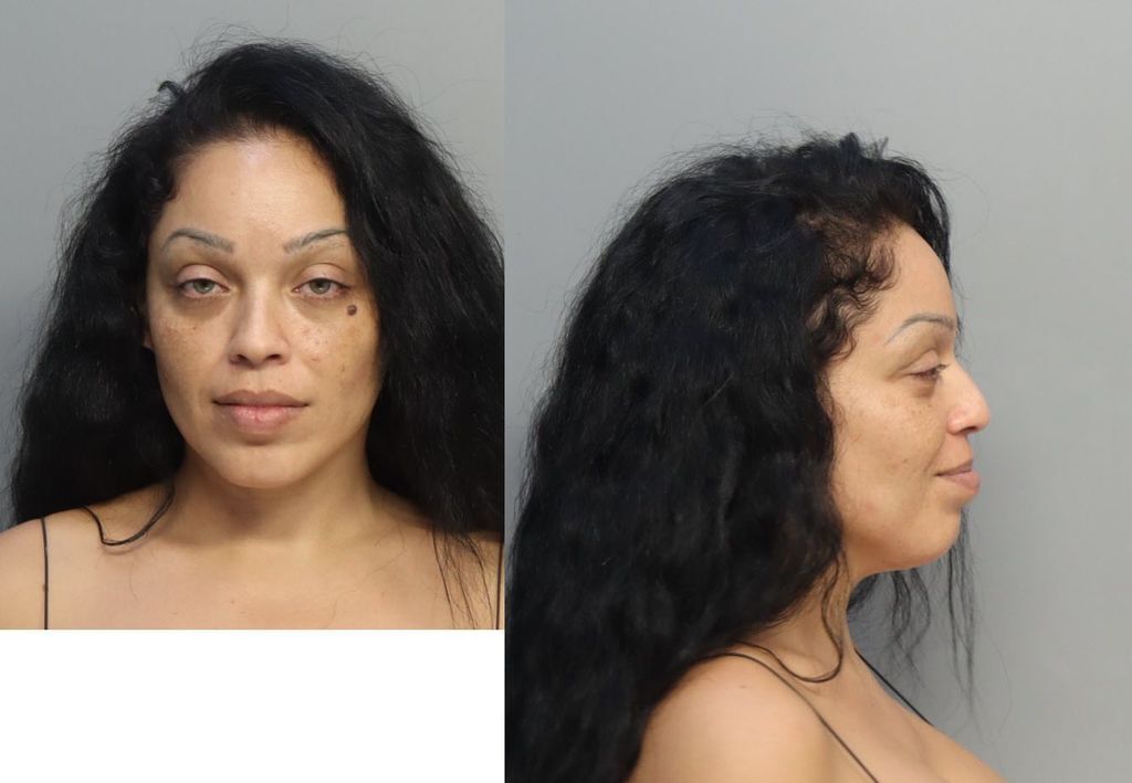 BONILLA CHRISTINA MARIE 11/19/2024 - Miami-Dade County Mugshots Zone