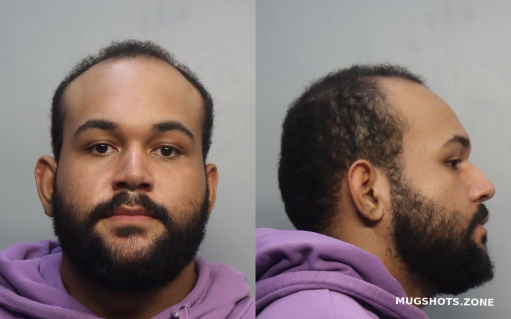 ANAYA-LOPEZ ANDRES LUIS 11/19/2024 - Miami-Dade County Mugshots Zone