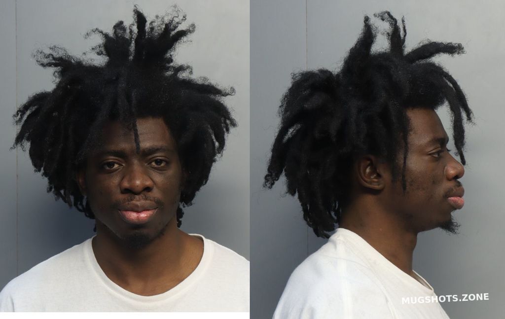ANDERSON CHRISTOPHER 11/20/2024 - Miami-Dade County Mugshots Zone