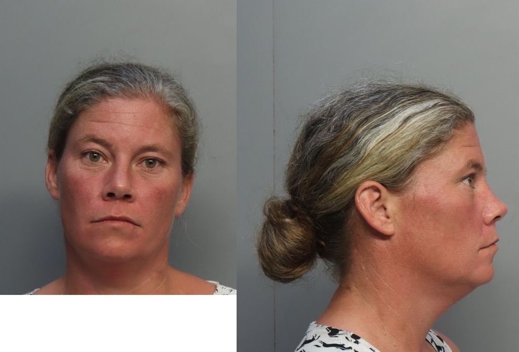 CARTER NICOLE ALEXANDRIA 11/20/2024 - Miami-Dade County Mugshots Zone