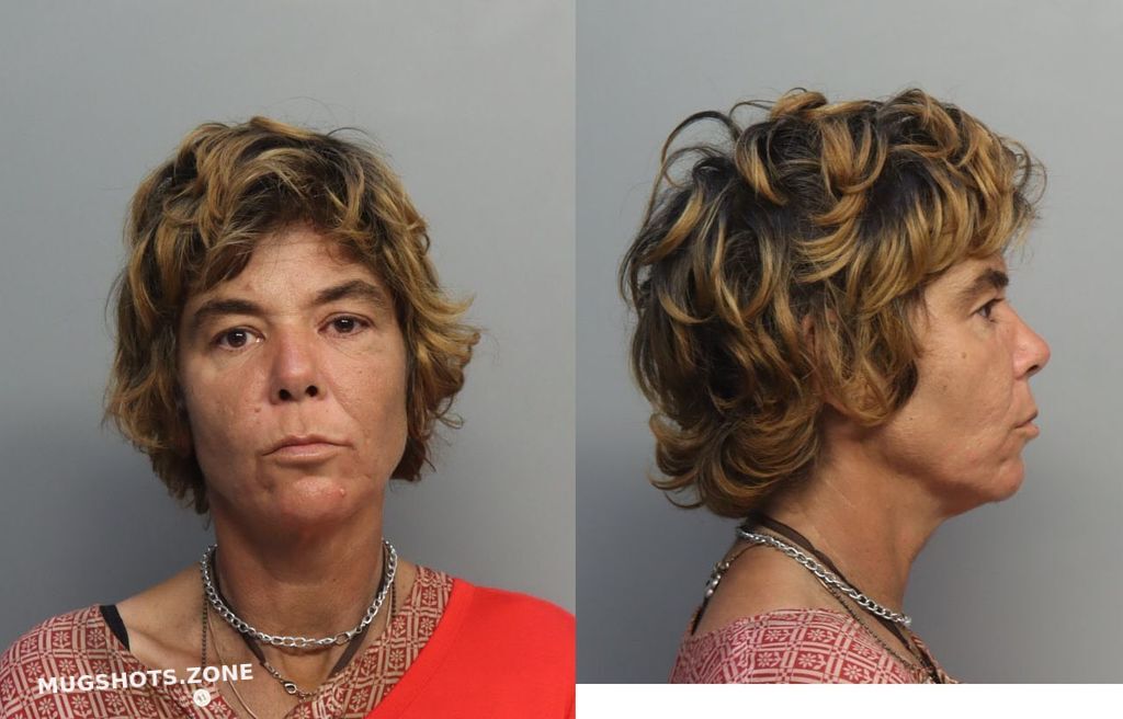 GIZ DAYSMARYS 11/20/2024 - Miami-Dade County Mugshots Zone