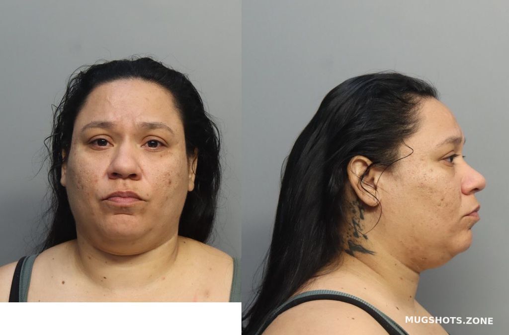 SANTIAGO VANESSA MARIE 11/20/2024 - Miami-Dade County Mugshots Zone