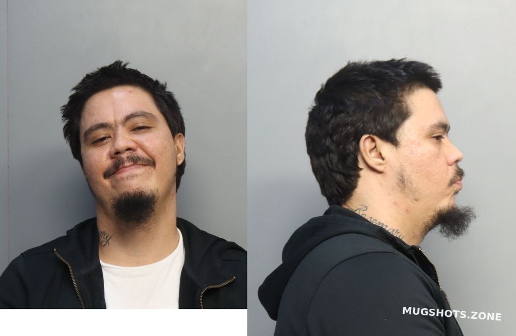 ARENCIBIA LAZARO MANUEL 11/20/2024 - Miami-Dade County Mugshots Zone
