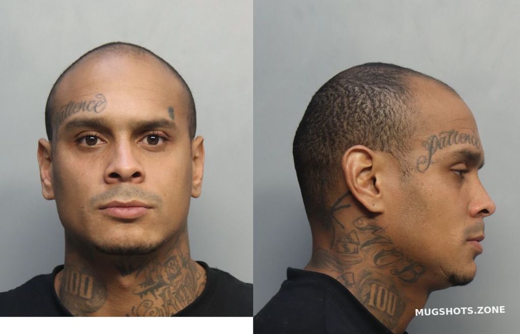 SUAREZCACARES SEBASTIAN 11/22/2024 - Miami-Dade County Mugshots Zone