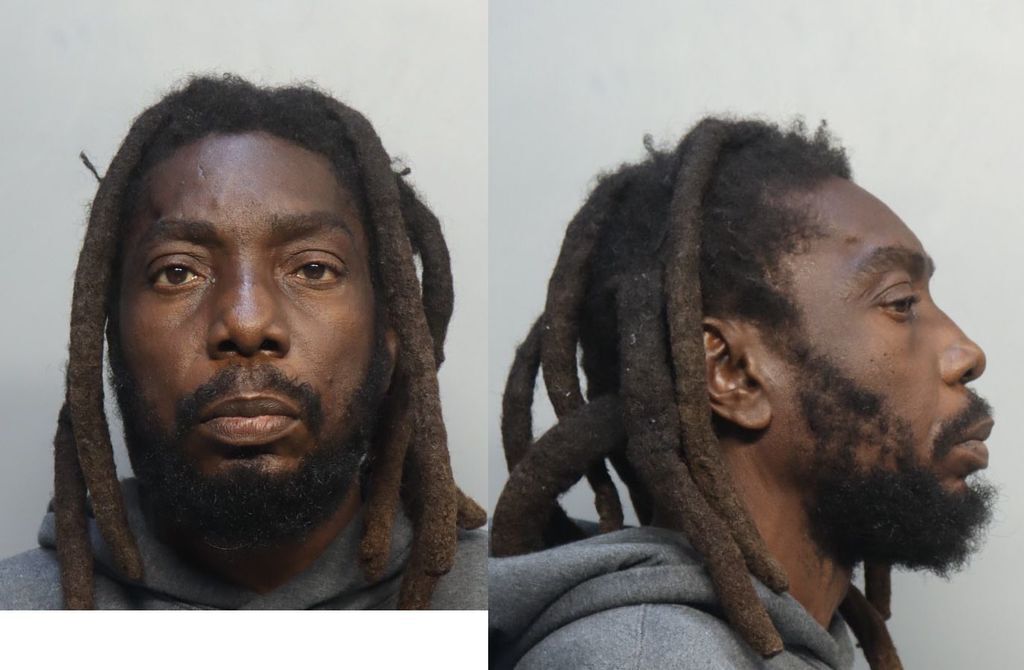 ROBINSON CURTIS LEE 11/22/2024 - Miami-Dade County Mugshots Zone